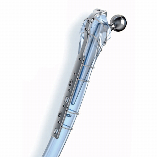 Cable-Ready® インテグラルGTRプレート