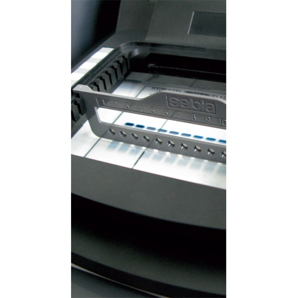 Hydrasys 2 Scan Focusing 多項目電気泳動システム