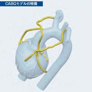 HEARTROID CABG Model (製造販売企業:株式会社JMC) | プロダクトデータベース-メディカルオンライン-